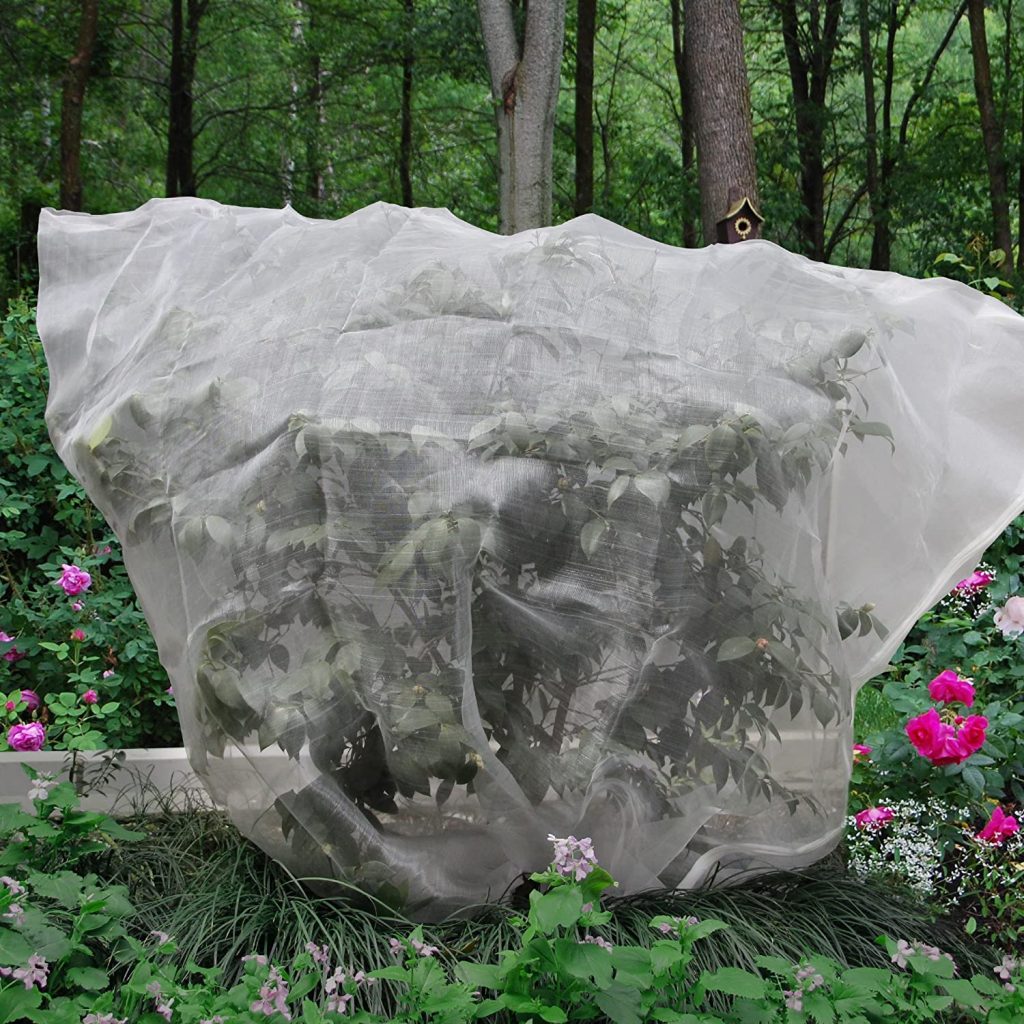 7 Effective Japanese Beetle Control Methods - The Bug Agenda