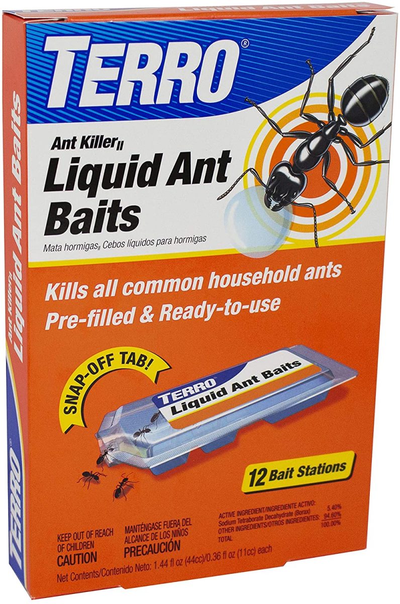What is the Best Indoor Ant Killer to Rid Your Home of Ants?