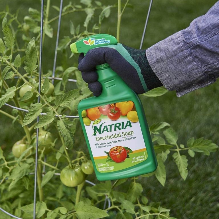 Chemical Control of Aphids: 6 Best Available Options - The Bug Agenda