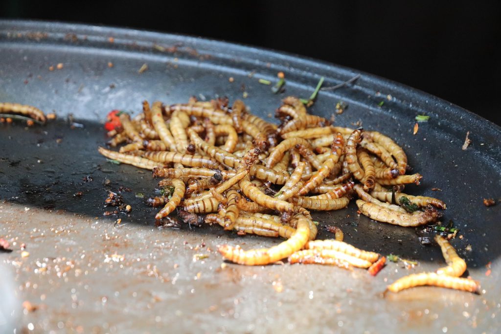 10 Best Insects to Eat If You’re Jumping into Entomophagy