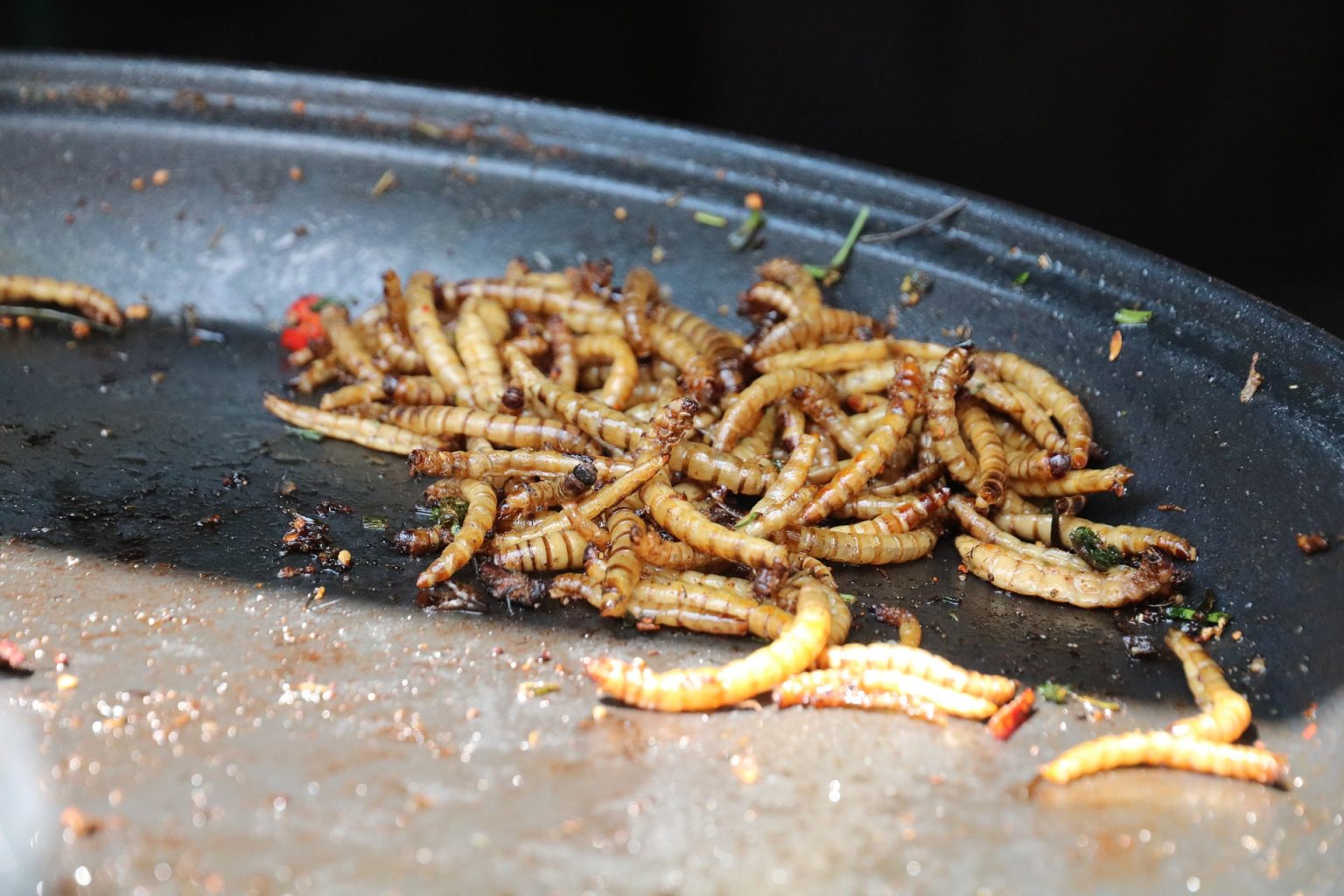 10 Best Insects to Eat If You’re Jumping into Entomophagy