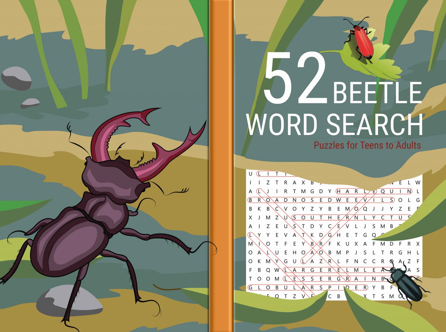 Beetle Bugs and Insect Word Search Puzzle Books for Learning