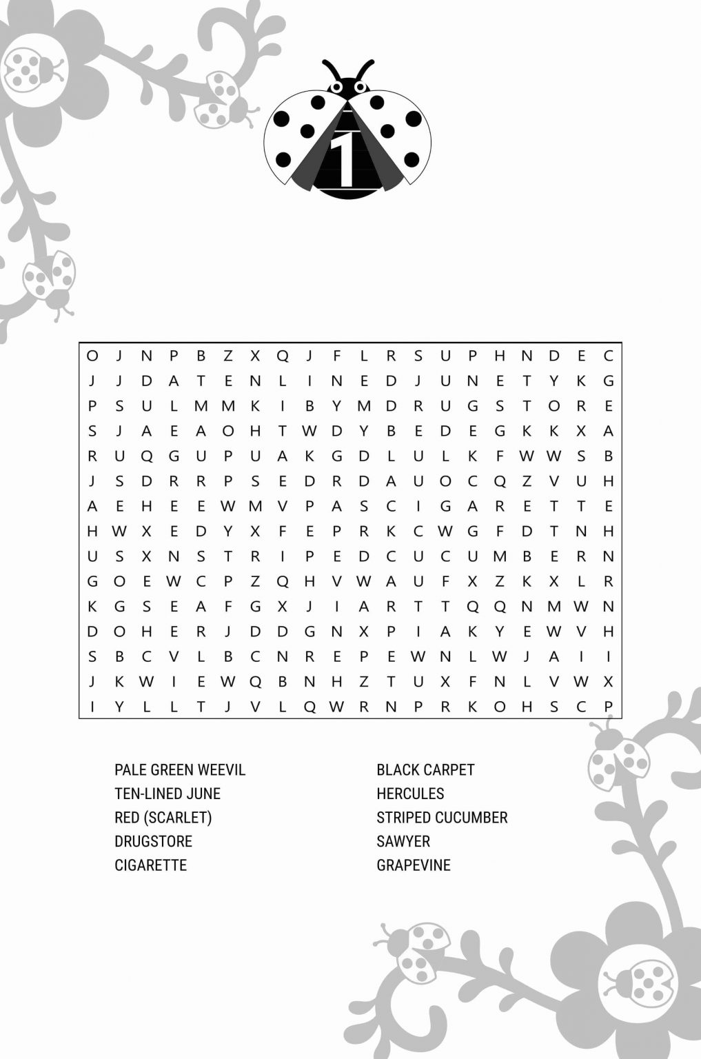 Beetle Bugs and Insect Word Search Puzzle Books for Learning