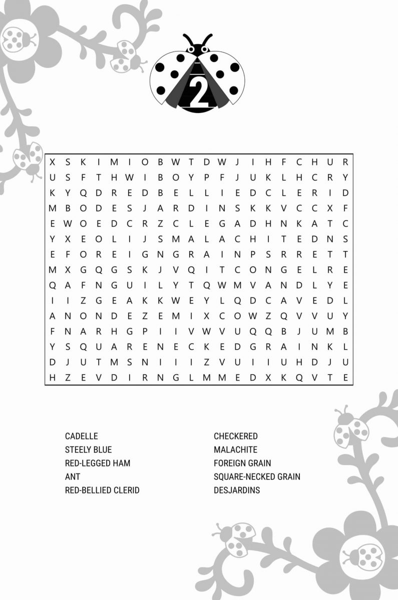 Beetle Bugs and Insect Word Search Puzzle Books for Learning