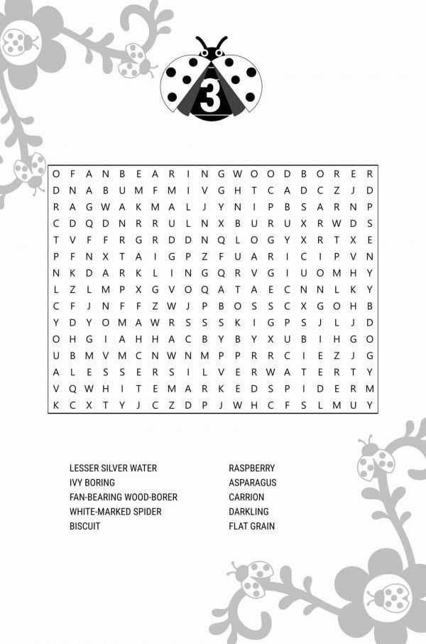 Beetle Bugs and Insect Word Search Puzzle Books for Learning