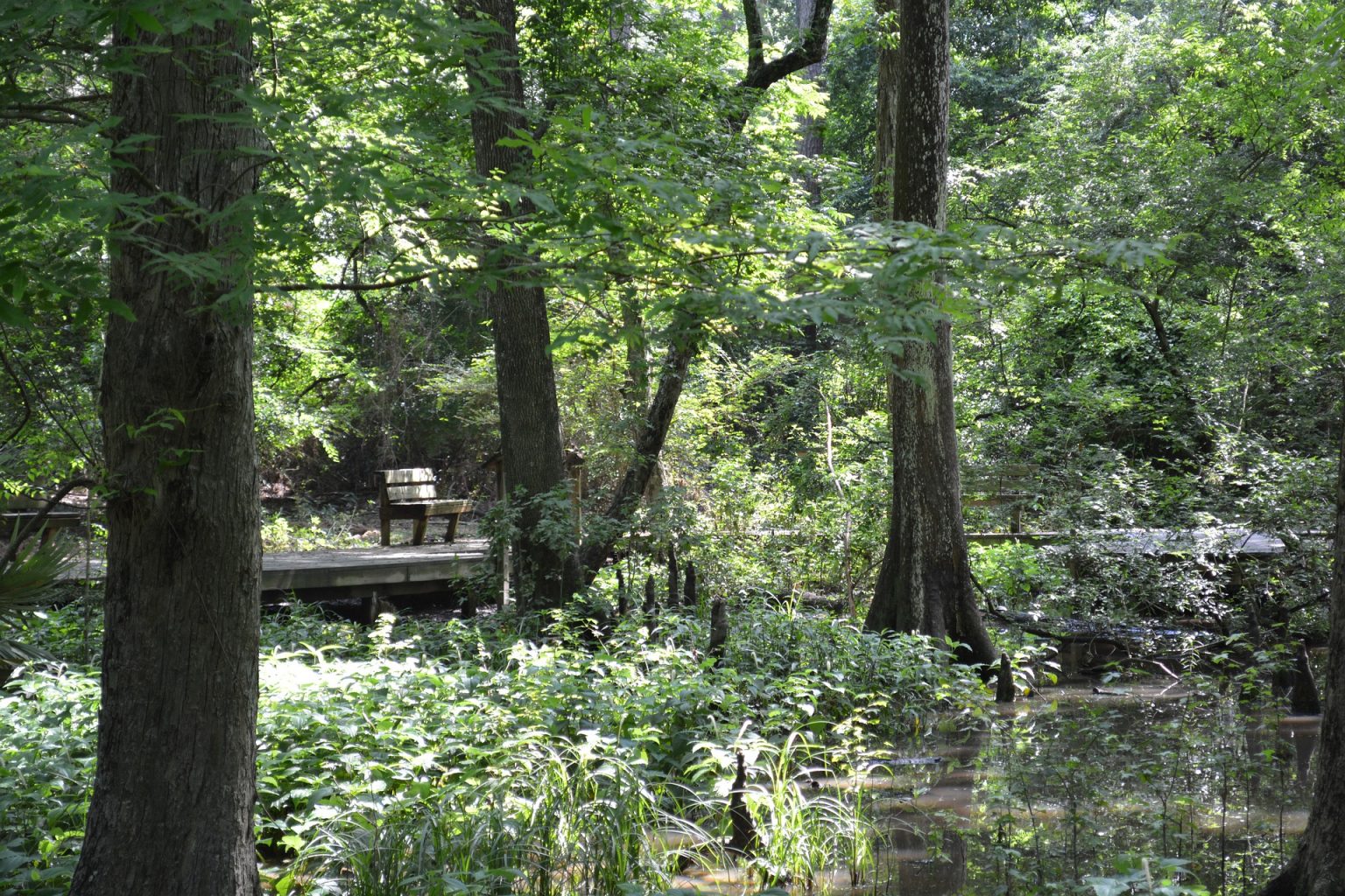 No See Ums in the House: Tips to Oust Them and Sleep in Peace