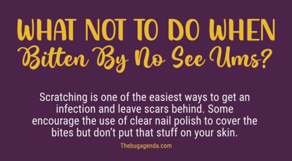 No See Um Bites: All You Need to Know -- The Bug Agenda