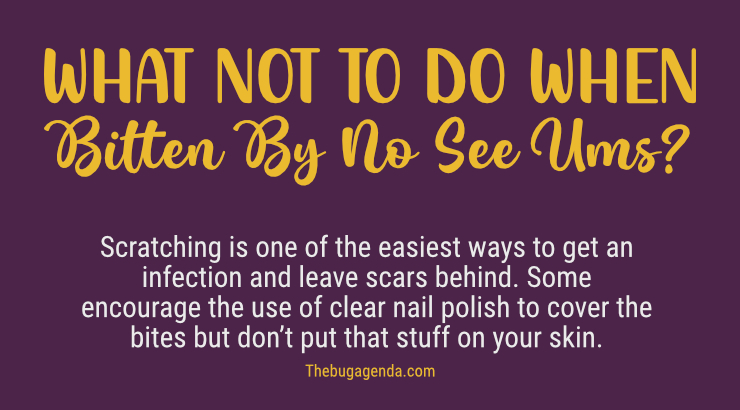 No See Um Bites: All You Need to Know -- The Bug Agenda